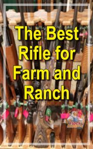 The Best Rifle for Farm and Ranch - Countryside